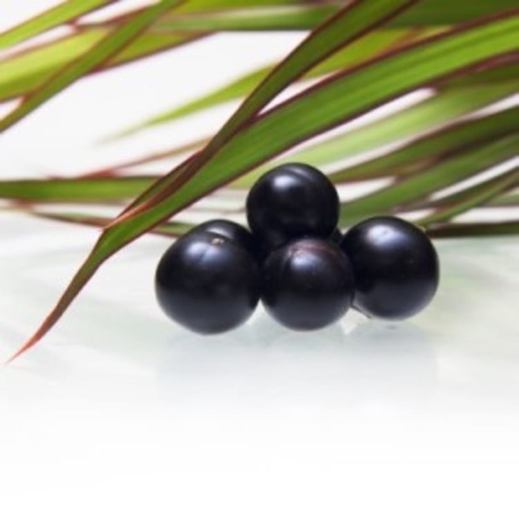 What is Acai & What are Acai Berry Benefits?